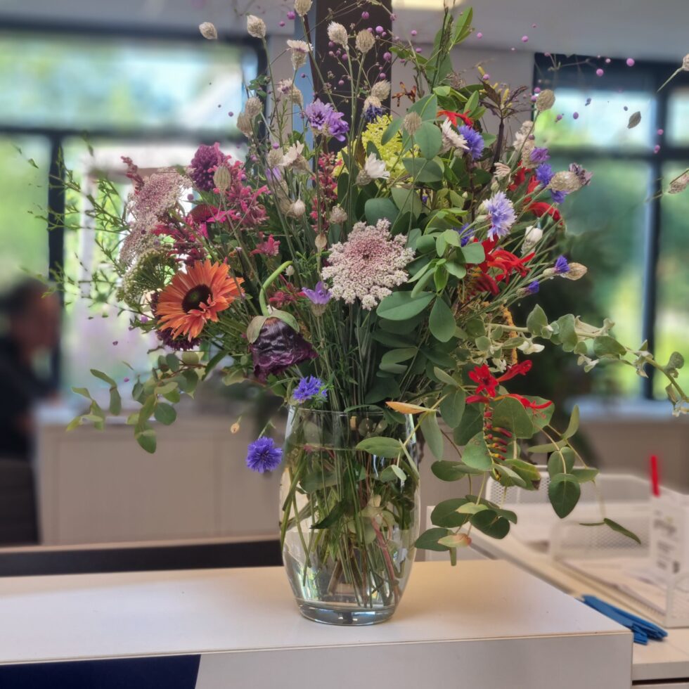 Home | Rijnbeek en Zoon B.V